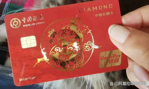 中国银行储蓄卡换卡图标