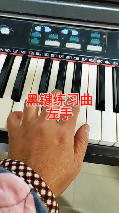 电子琴黑键