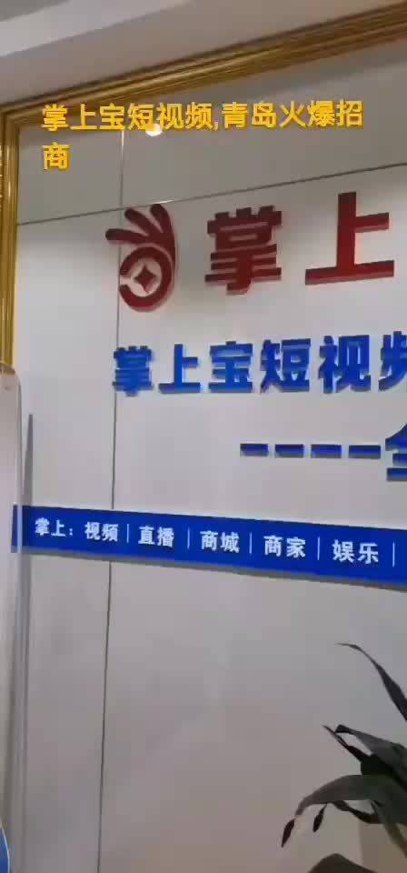 掌上宝短视频怎么挣钱图标