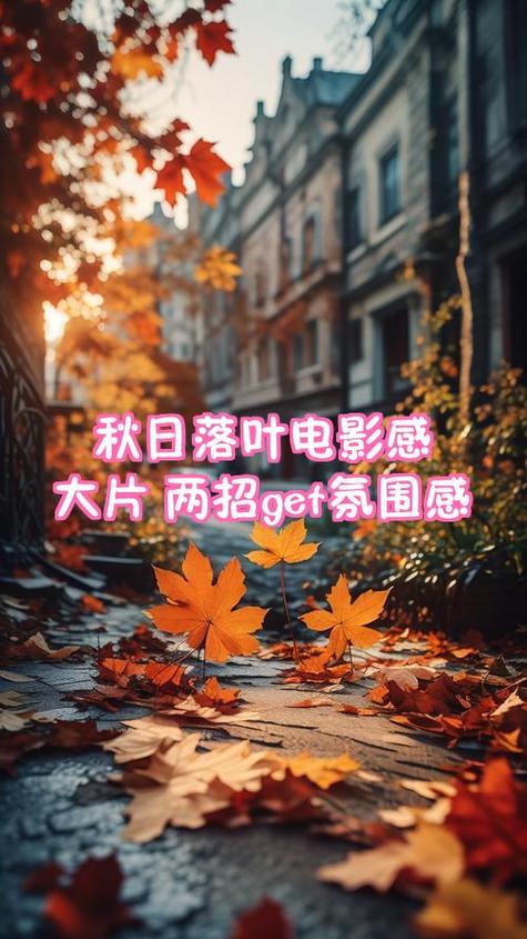 电影《落叶》美国截图