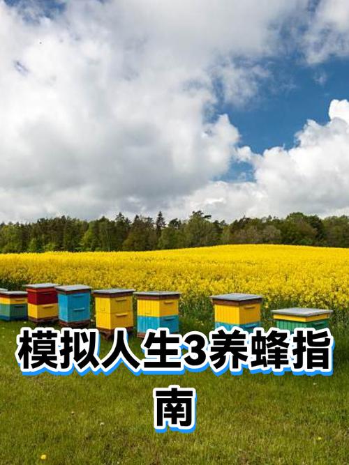 模拟人生3全秘籍代码汇总图标