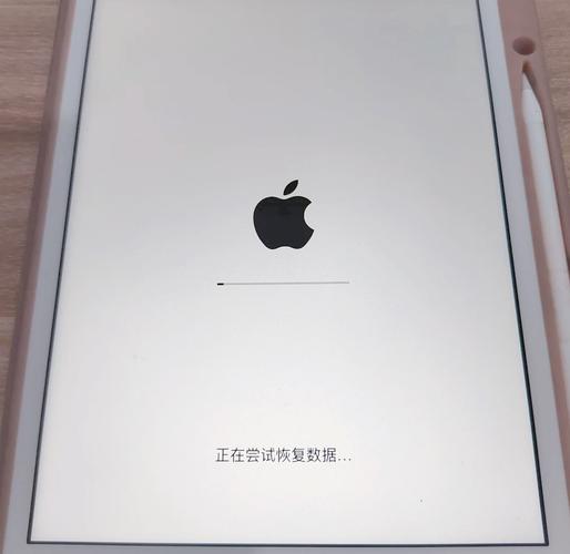 ipad更新白苹果进度条不动图标