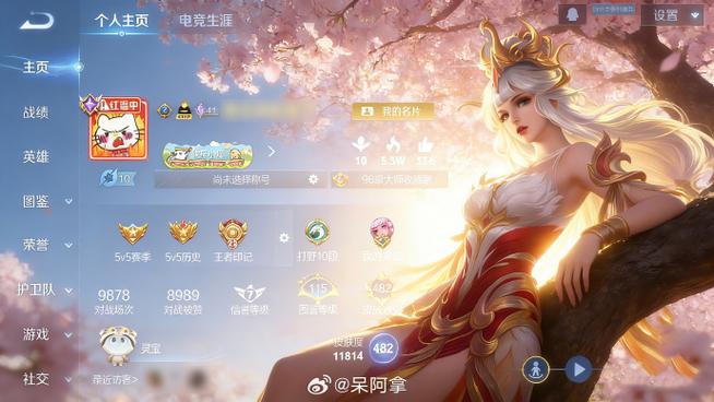 王者荣耀从战绩里看不到别人名片截图