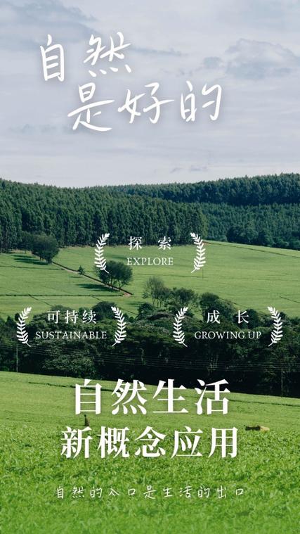 熊猫客截图