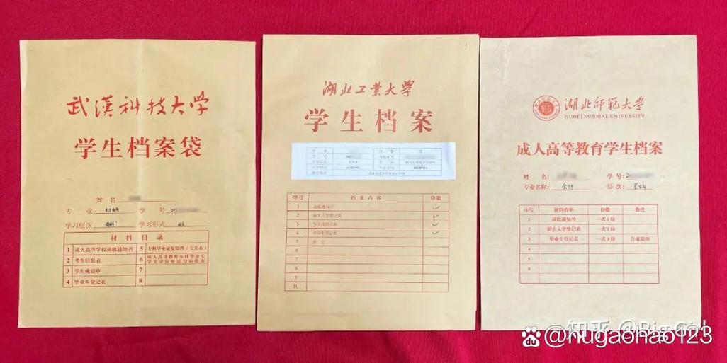 学生档案毕业后放在哪