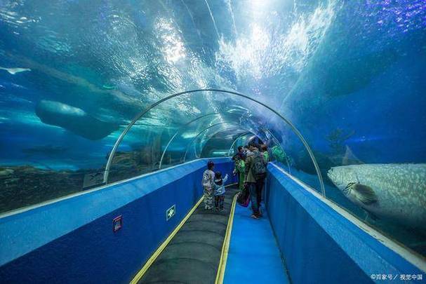 深海水族馆基地图标