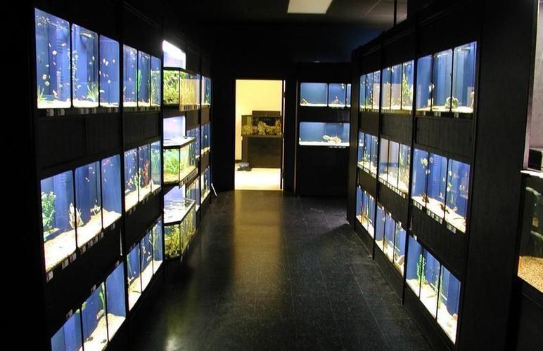 开水族馆图标