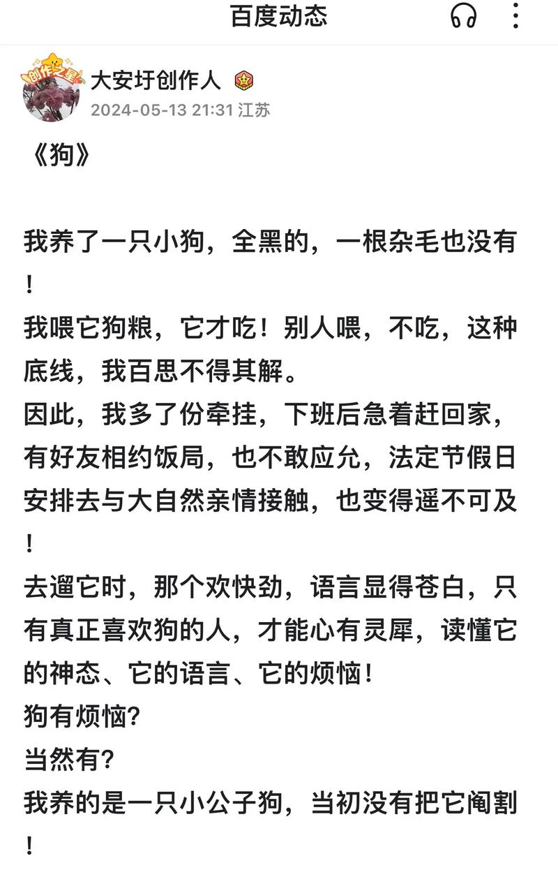 狗狗搜索小说图标