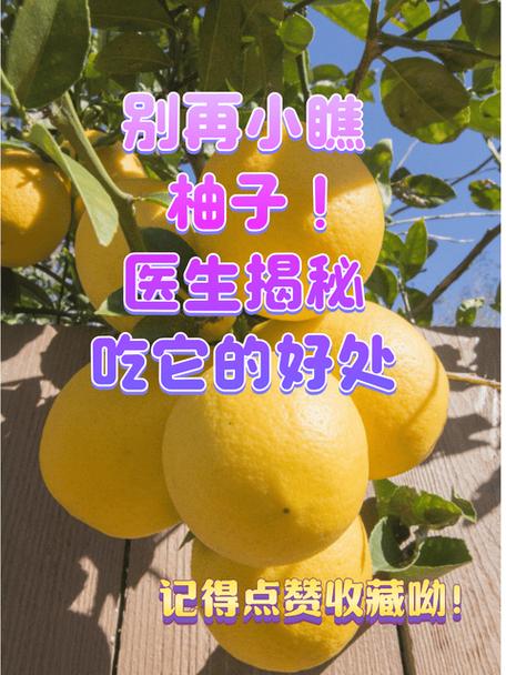 乙肝病毒能吃柚子吗截图