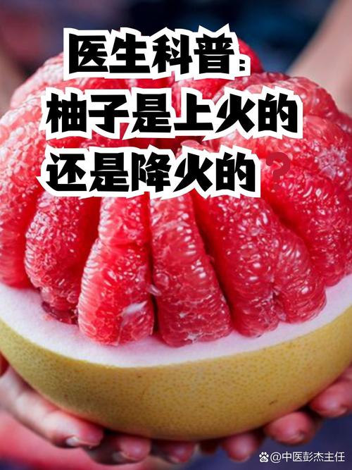 柚子是上火还是降火图标