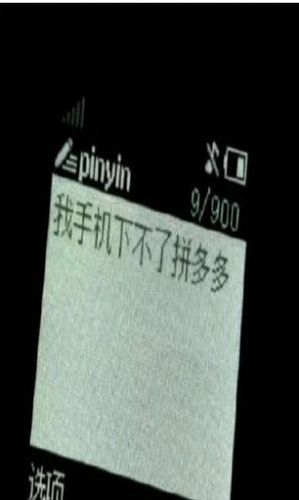 苹果手机没有拼多多截图