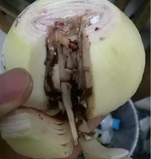 洋葱切开变黑截图
