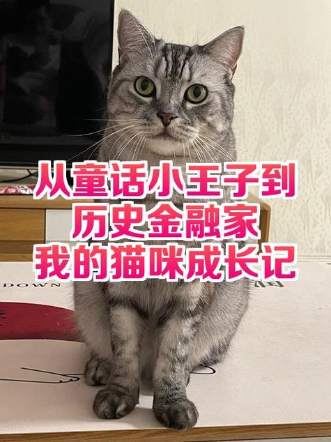 猫咪成长记赚钱图标