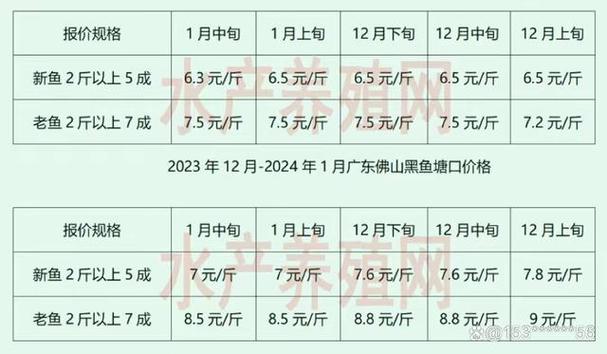 黑鱼多少钱一斤2026年价格图标