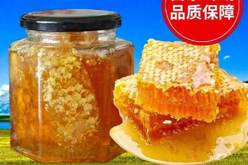马蜂窝蜂蜜图标