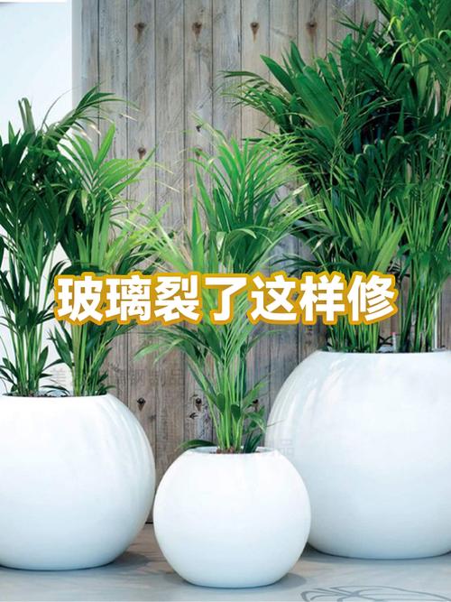 玻璃窗户裂缝怎样处理截图