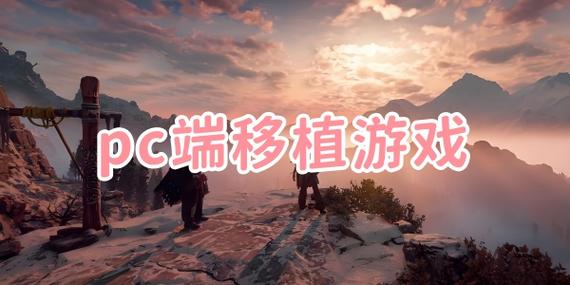 电脑游戏移植截图
