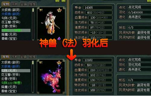 宠物羽化怎么开启截图