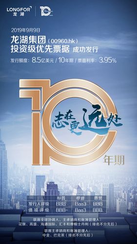 龙湖投资及优先票据截图