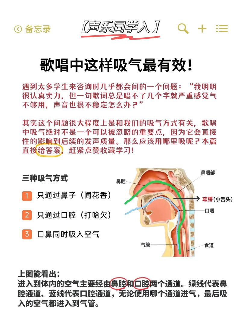 晨起声带唤醒步骤缩略图