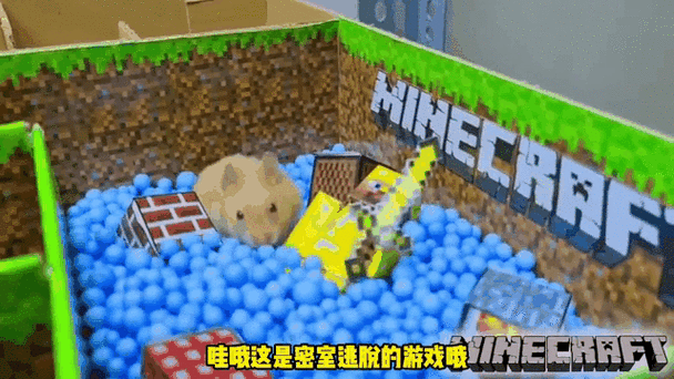 小仓鼠闯关大战僵尸截图