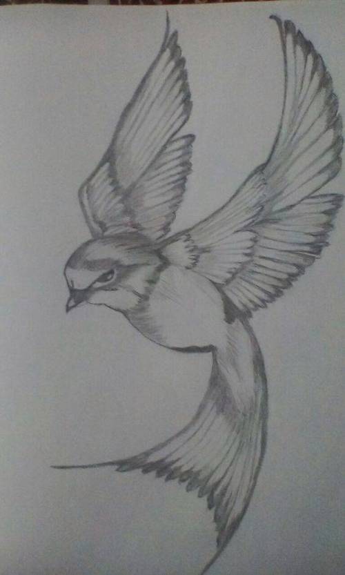 飞机素描画图标