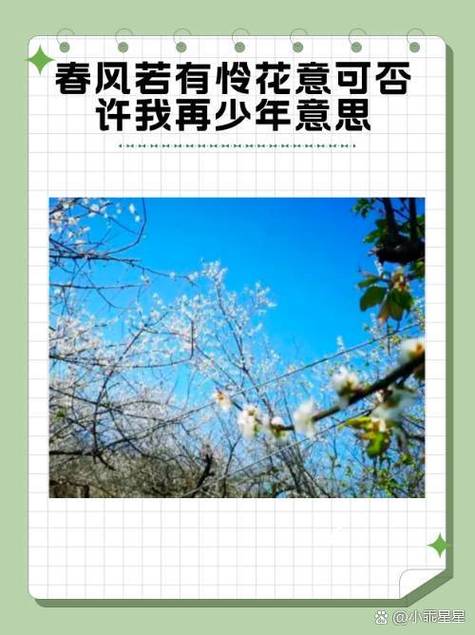 赞美年华的诗句图标