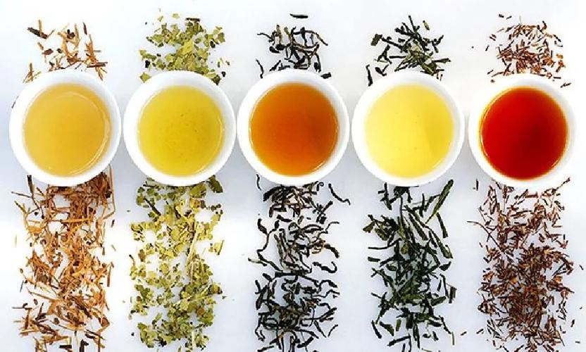 好的绿茶有哪些特点图标