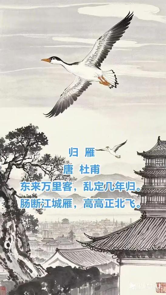 雁南归免费阅读小说全文图标