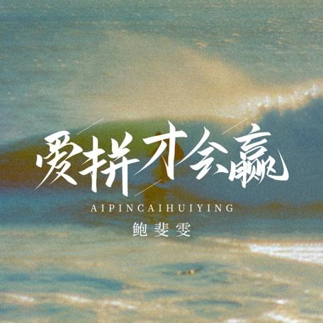 爱拼才会赢完整版图标