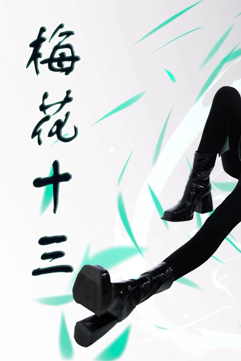 梅花十三图标