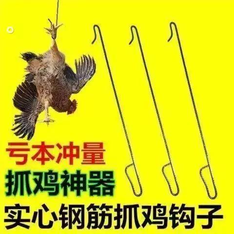 捉鸡神器抓鸡 野外图标