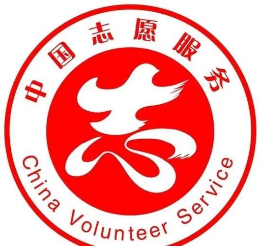 中国志愿者注册登录入口图标