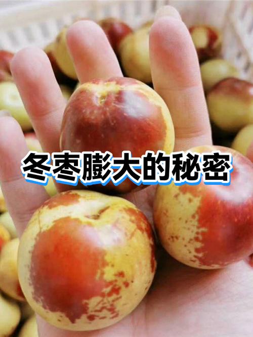 刚摘的草莓一泡水就烂了图标