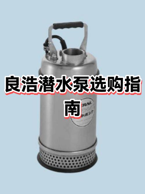 潜水泵哪个牌子质量好截图
