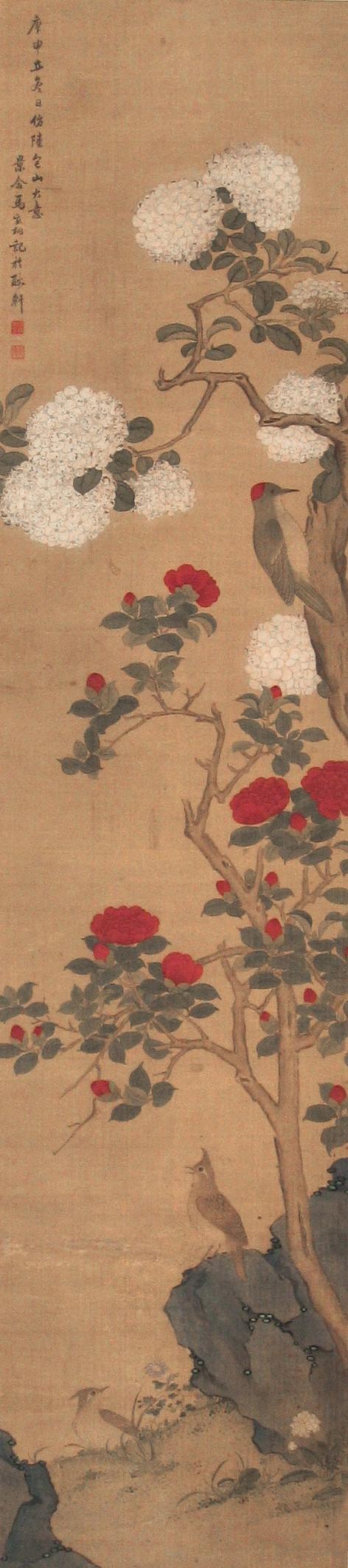 绮年芳华