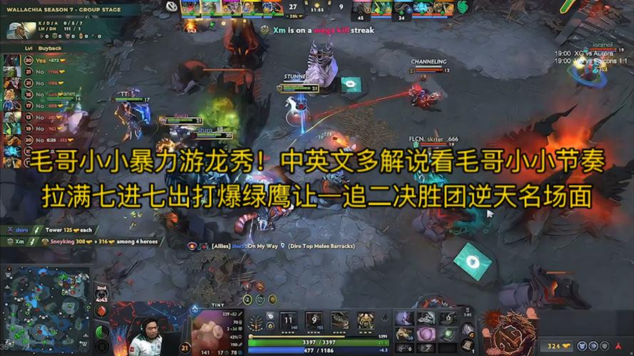 毛哥解说好看视频图标