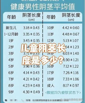 男生正常长度对照表图标