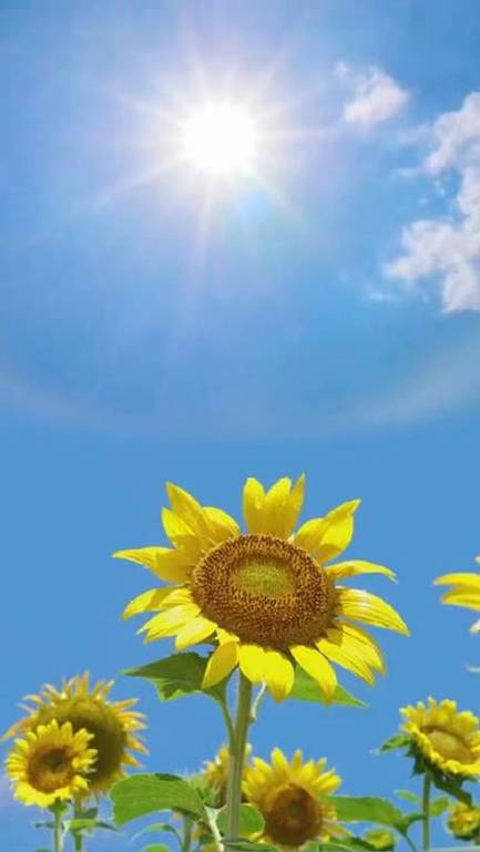 不开心情绪低落怎么办图标