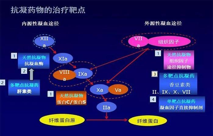 血凝的人有什么症状图标