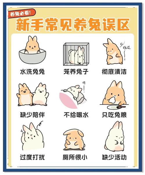 兔聊有风险吗图标
