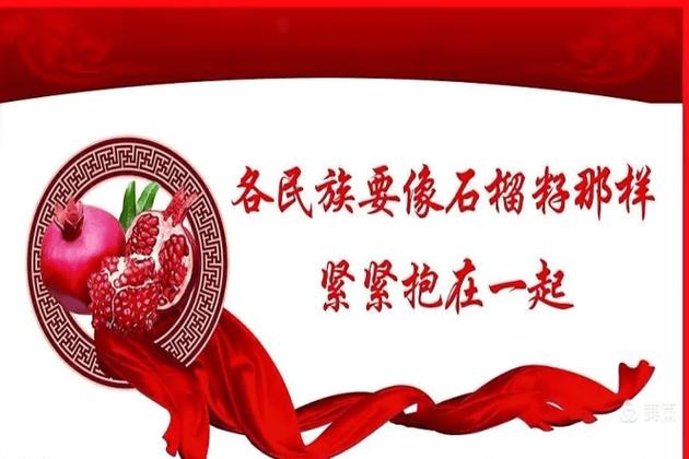 民族团结一家亲石榴籽短视频图标