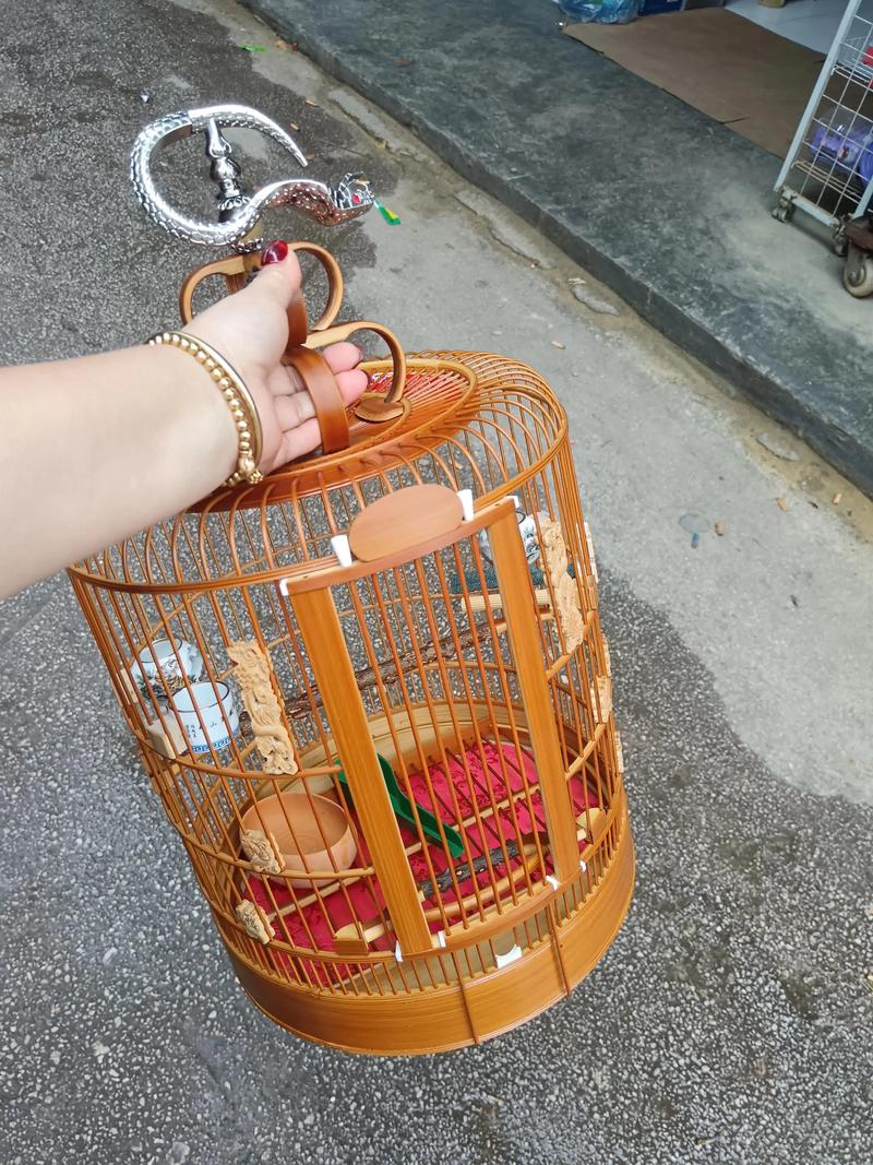 黄鸟抓包工具图标