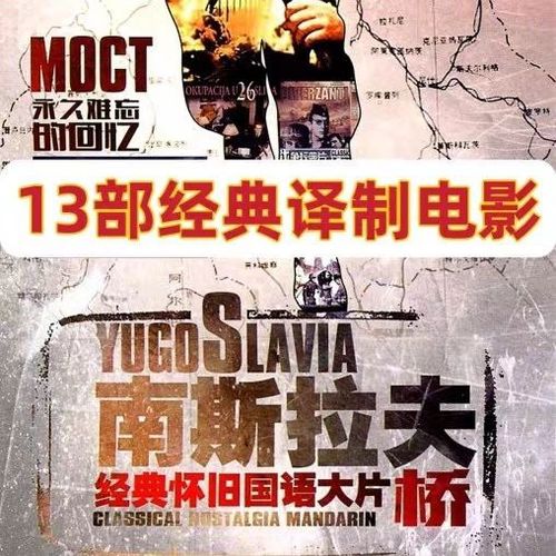 二战电影 桥 国语版