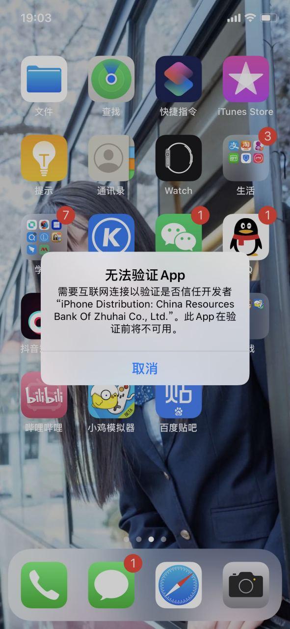 小鸡模拟器无法验证应用截图