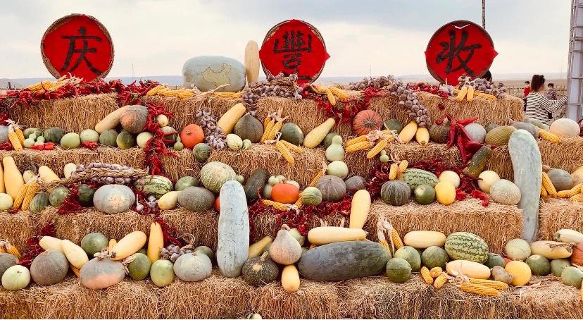 五谷丰收的图片图标