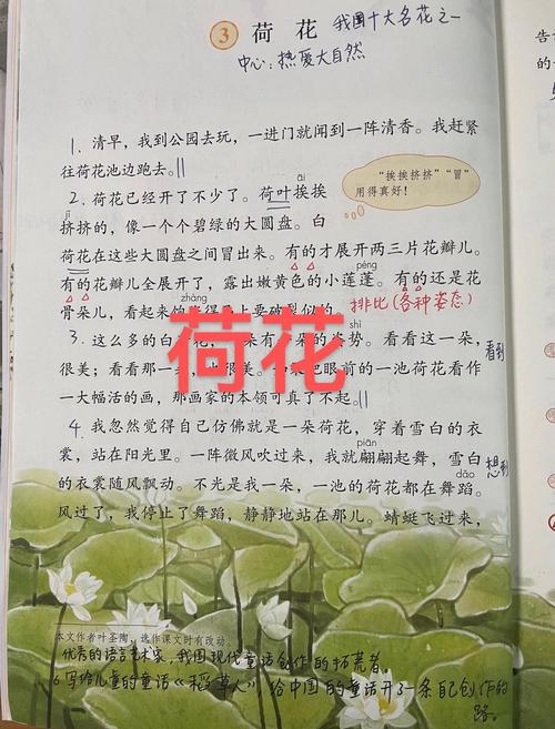 莲花梦迟全文阅读书包网图标