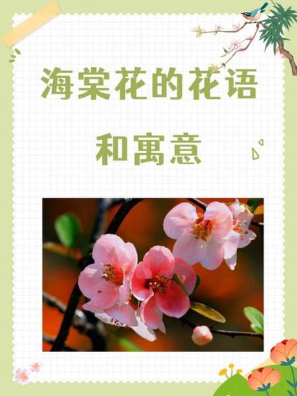 花瓣是啥意思网络图标