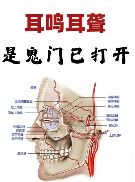 身体耳鸣5大求救信号
