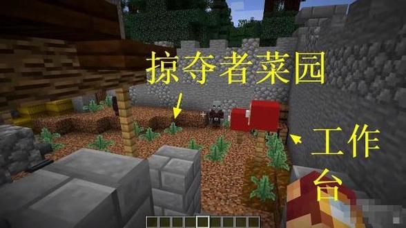 我的世界掠夺者找不到了怎么办截图